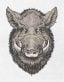 Wild Boar face / Drawing | ai illustrator file | US$5.00 each | Ai ...