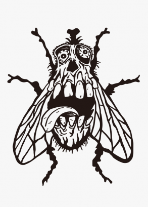 Fly Skull / Drawing | ai illustrator file | US$5.00 each | Ai & PNG File