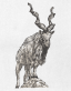 Markhor 01 / Drawing | ai illustrator file | US$5.00 each | Ai & PNG File