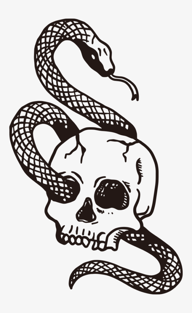 Skull and snake / illustration, vector | ai illustrator file | US$5.00 ...