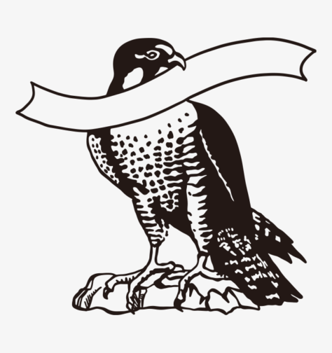 Falcon / illustration, vector | ai illustrator file | US$5.00 each | Ai ...