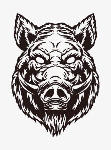 Boar's face illustration | ai illustrator file | US$5.00 each | Ai ...